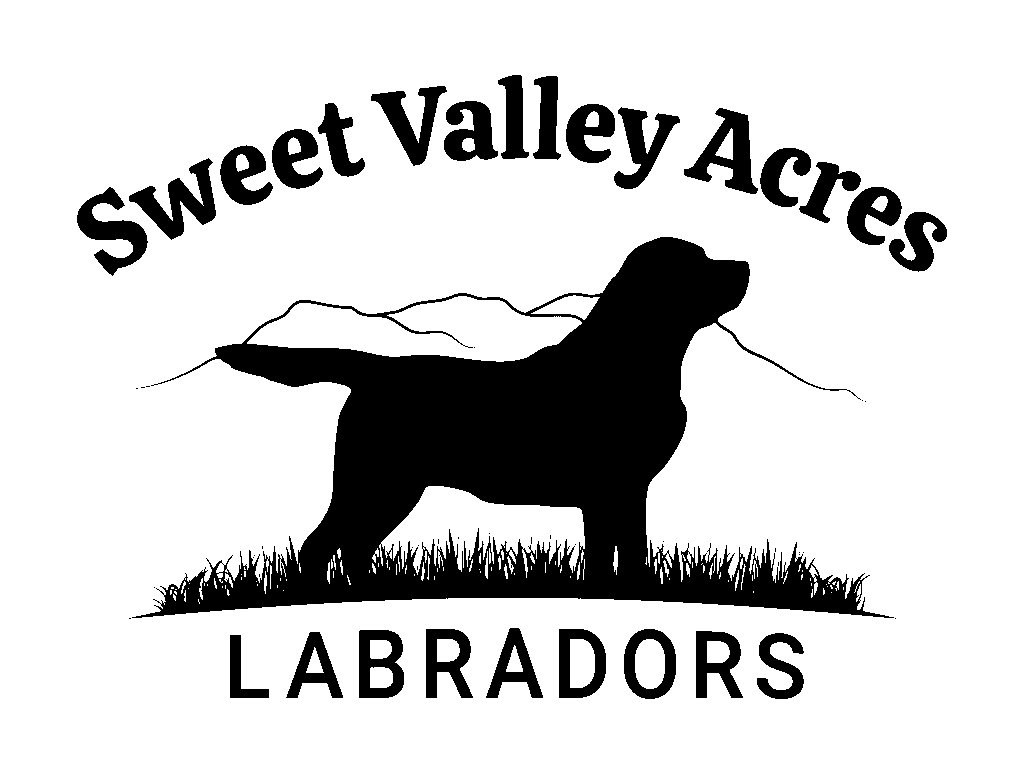 Home - Sweet Valley Acres Labradors Premier Dog Breeder
